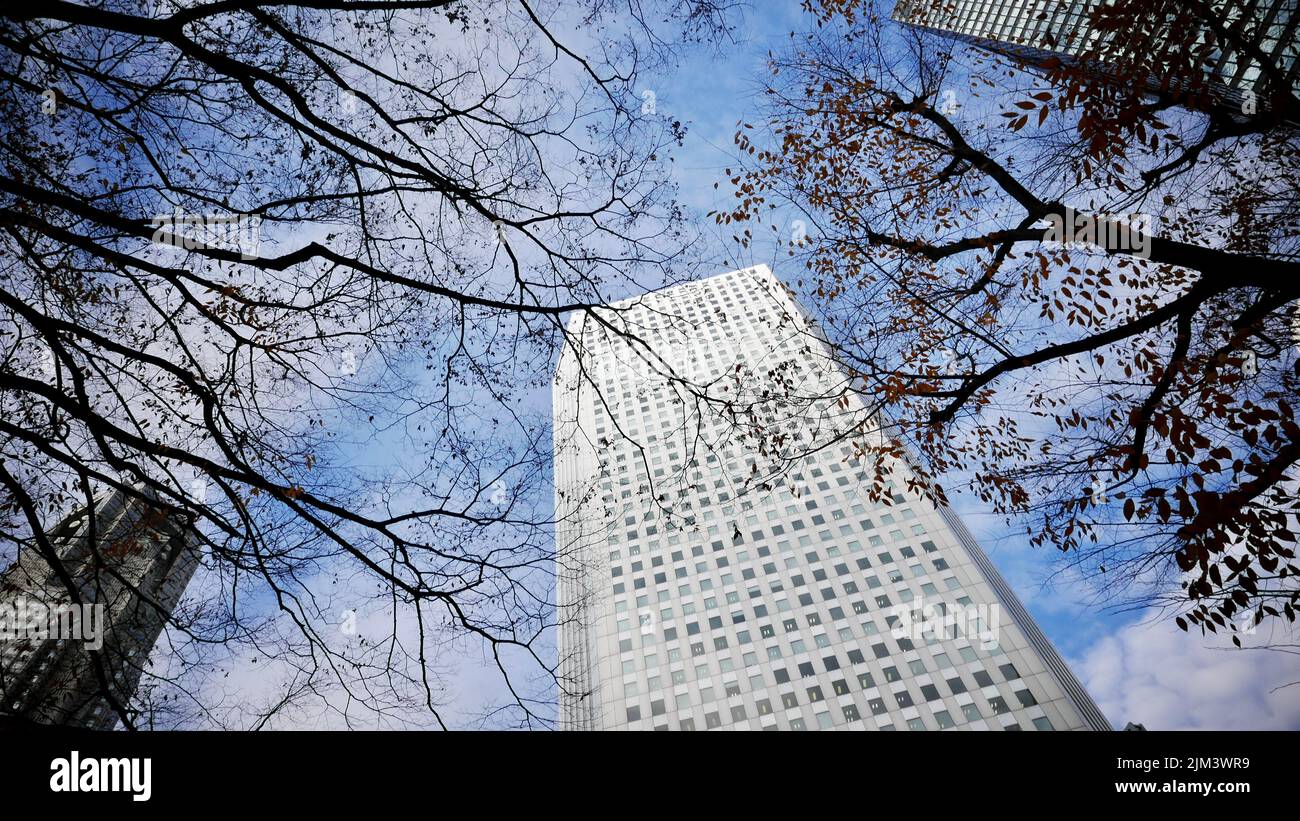 A low angle shot of the Shinjuku Nomura building skyscraper in the ...