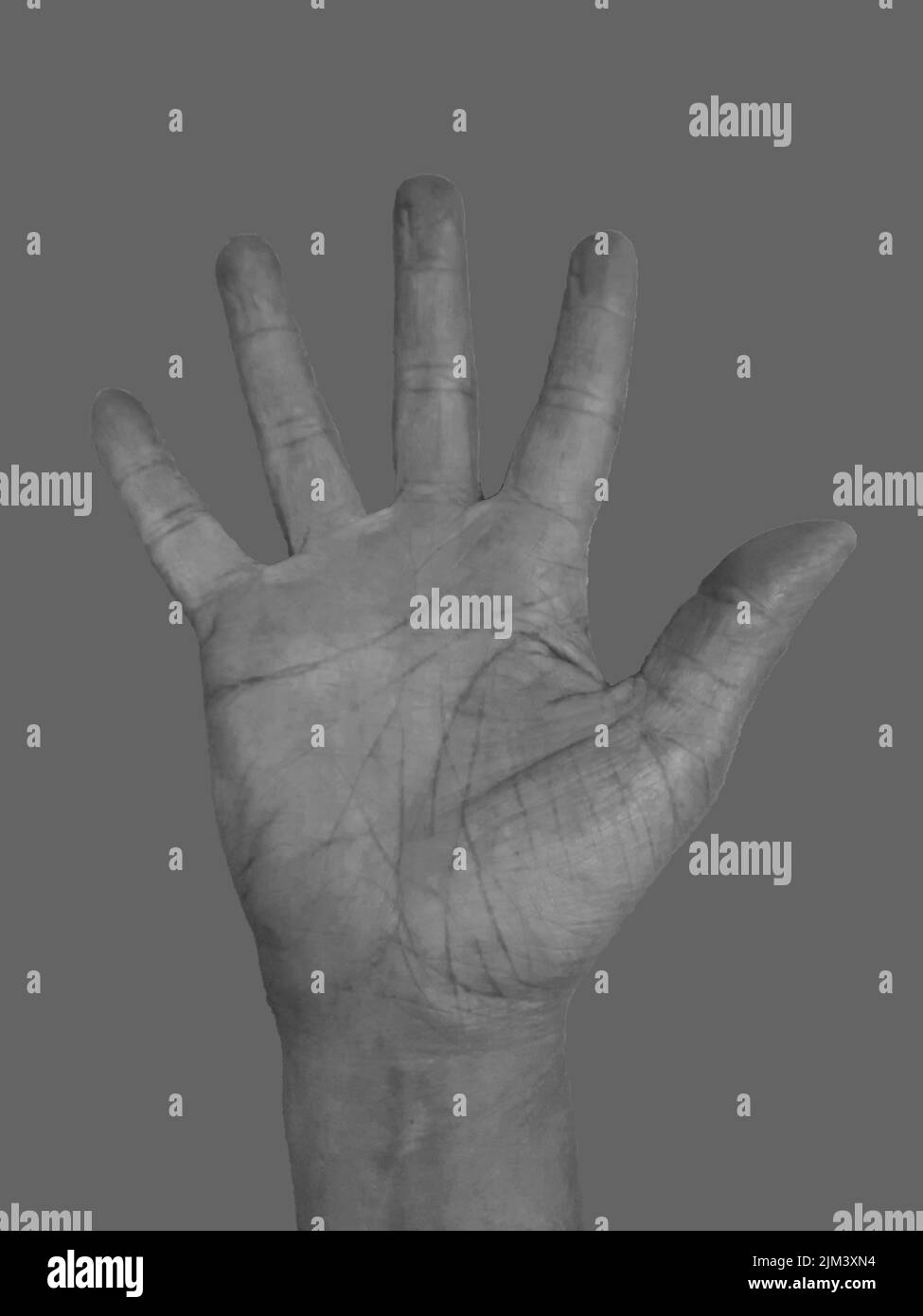 Black and white hand palm detail lines Stock Photo - Alamy