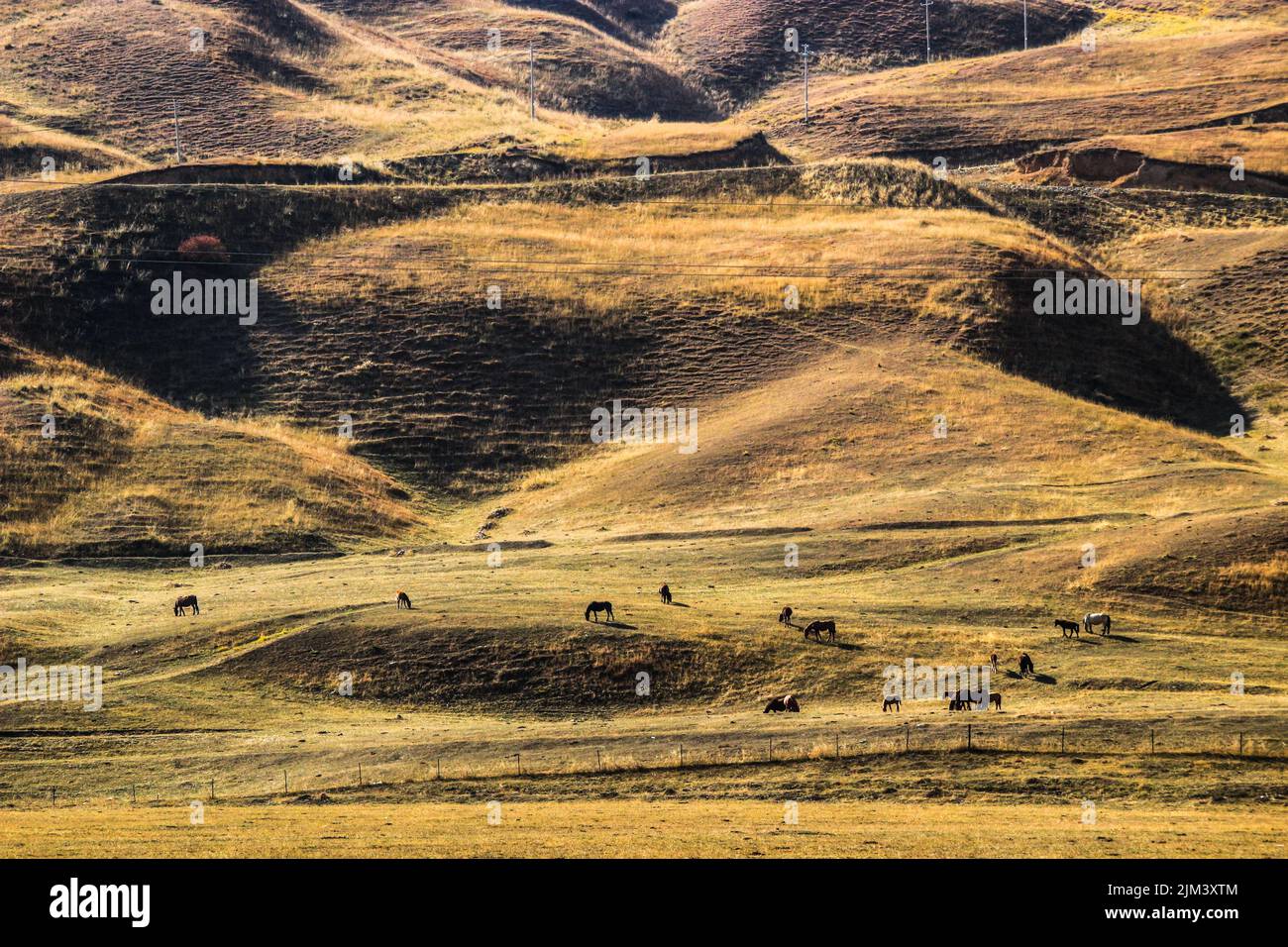 A beautiful view of curved hills and grasslands of Karajun Stock Photo ...
