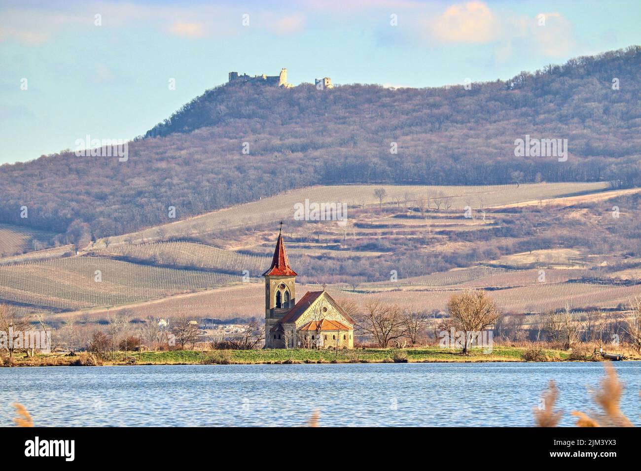 The ruins of the old church on the island at Musov, Czech republic ...