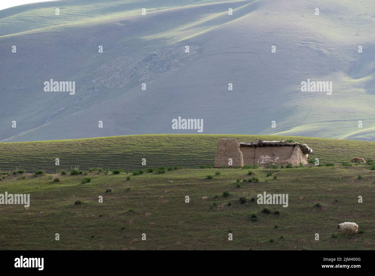A peaceful landscape with an old neglected construction in the middle ...