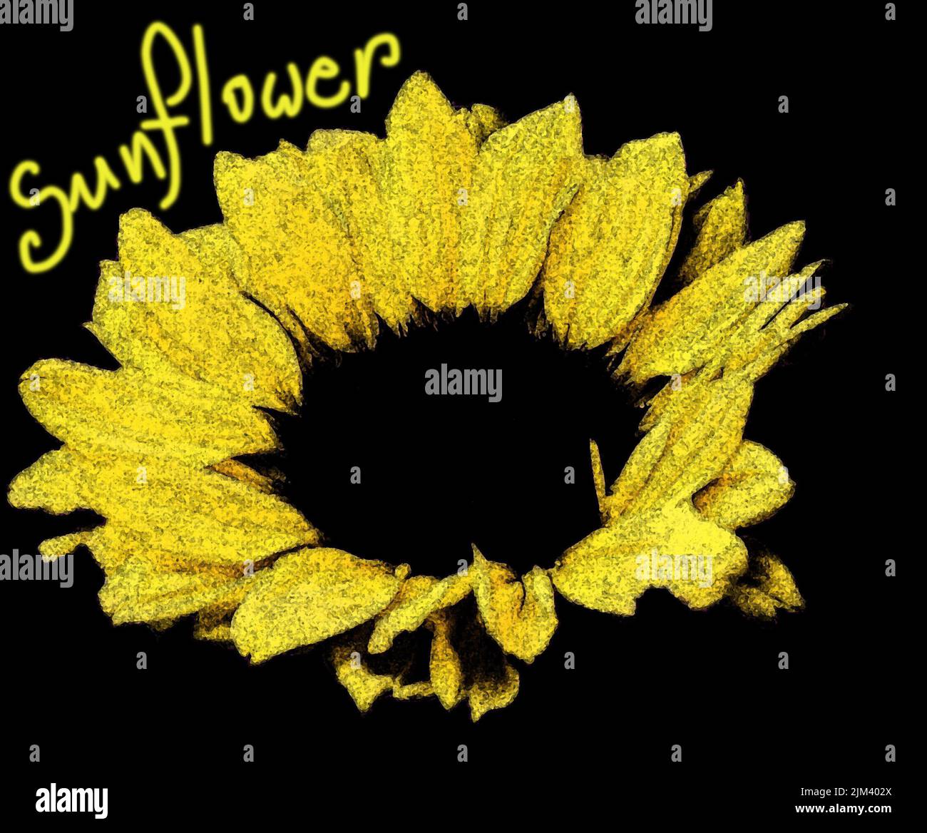 abstract art of sunflower on black background Stock Photo - Alamy