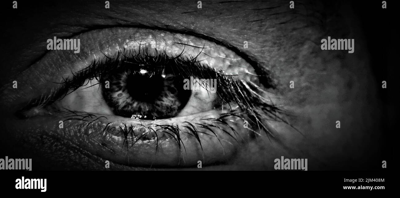 A grayscale closeup of a human eye Stock Photo - Alamy