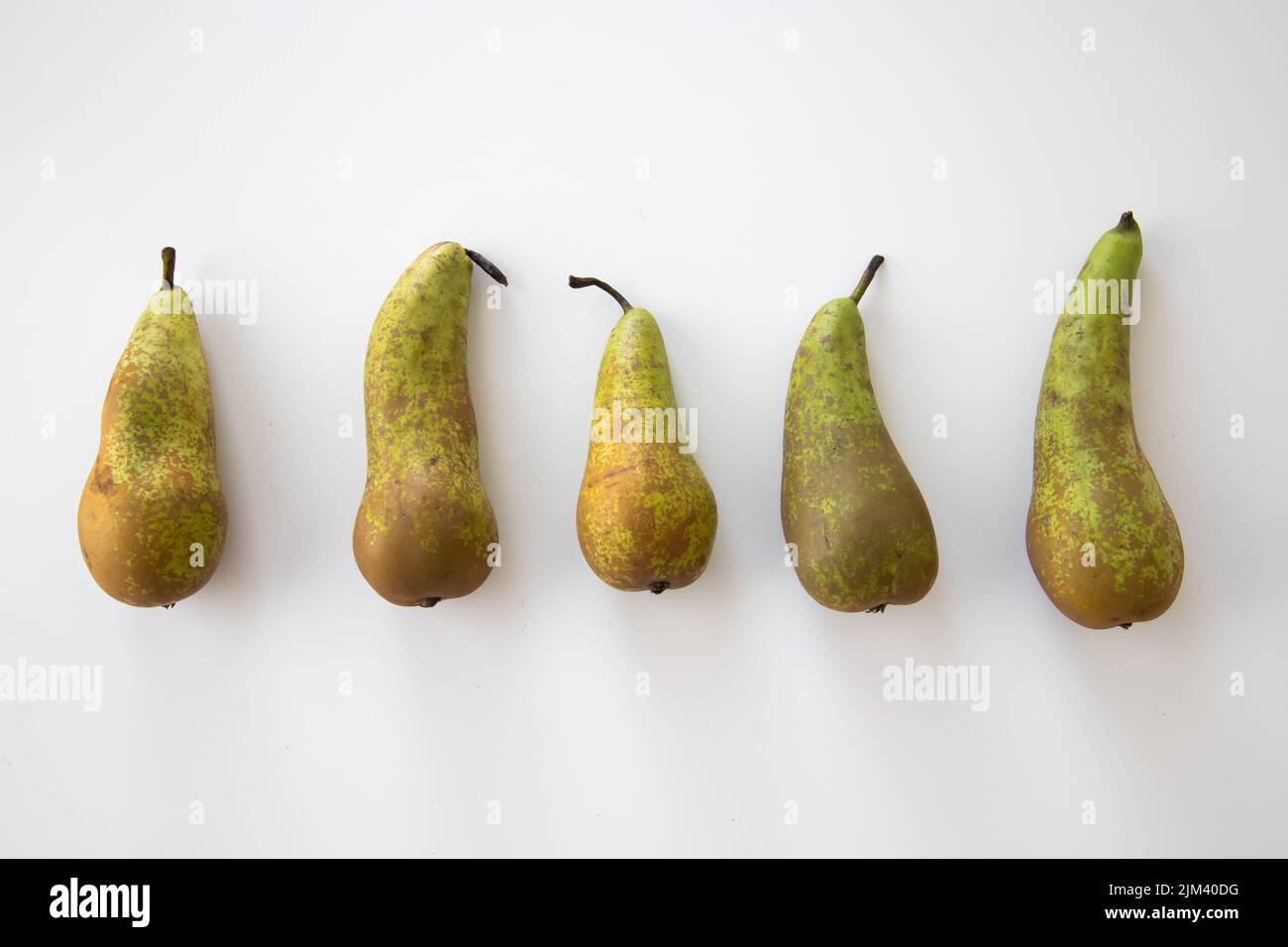 A closeup of Conference pears isolated on white background Stock Photo ...