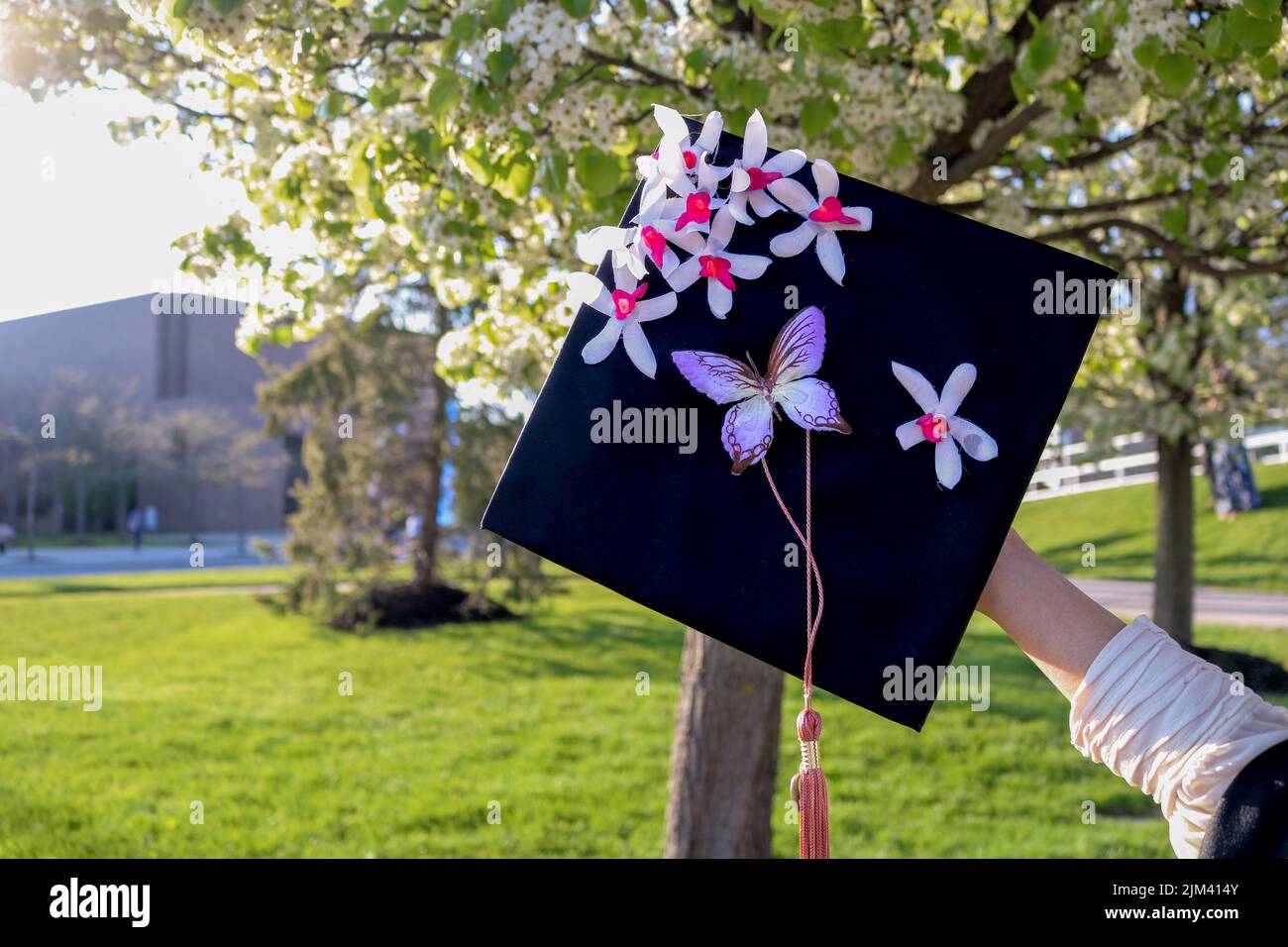 Decorated graduation cap hi-res stock photography and images - Alamy