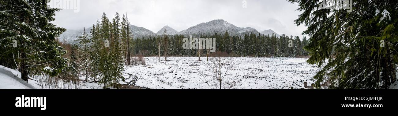 The panoramic view of Mount Rainier foothills flatland. Washington ...
