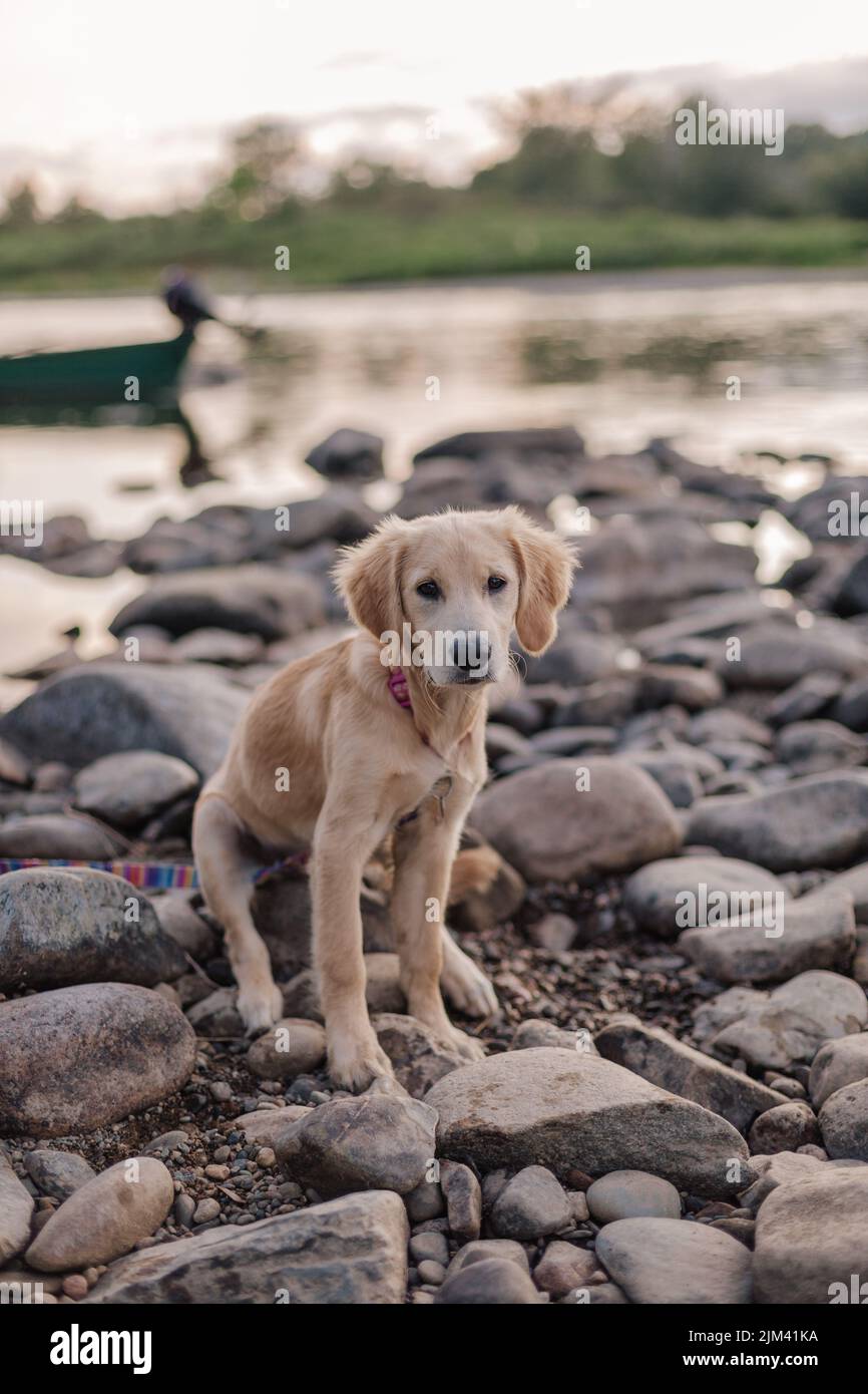 Miramichi lake new brunswick hi-res stock photography and images - Alamy