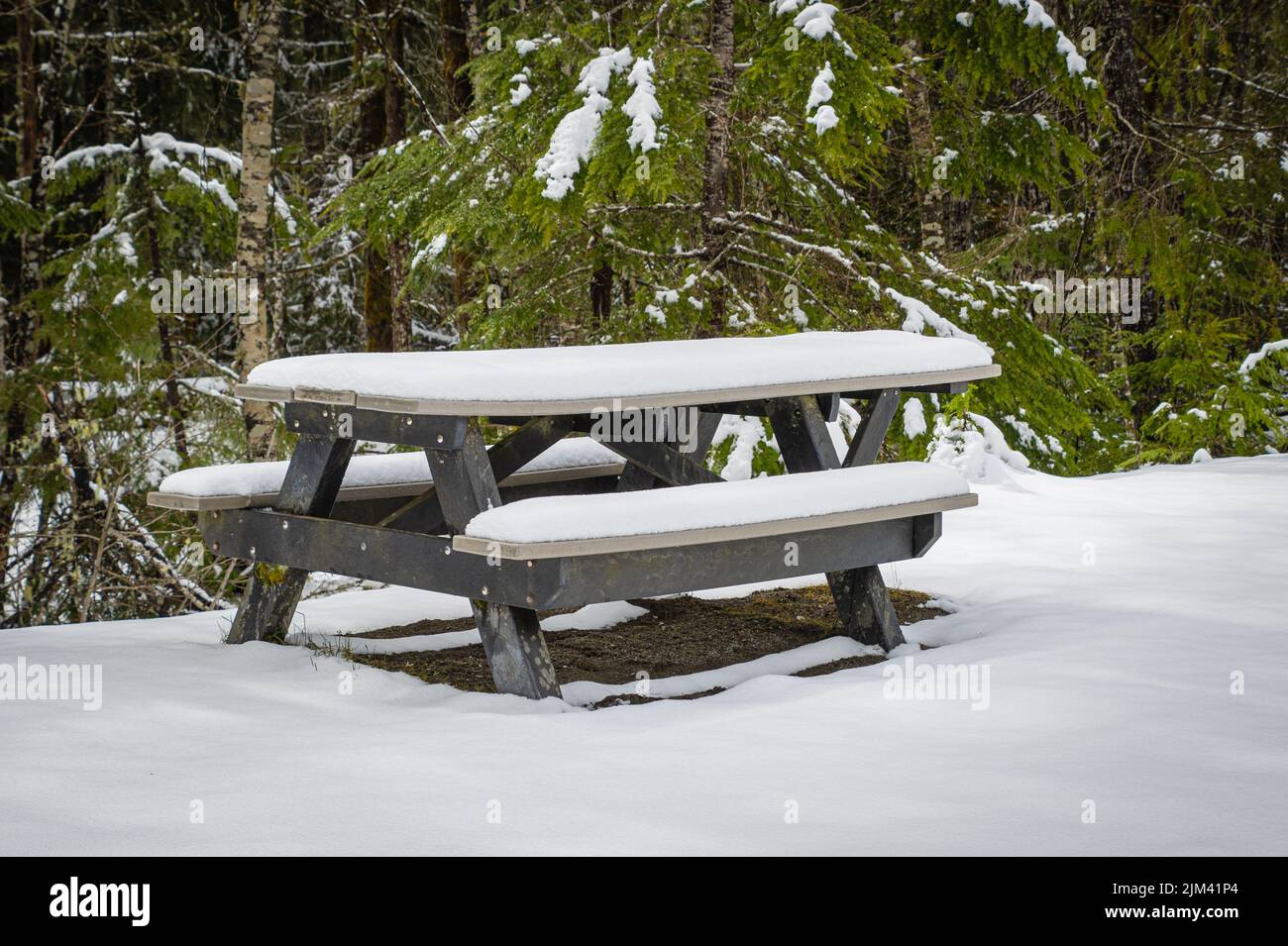 The snow-covered picnic bench in the forest. Mount Rainier, Washington ...