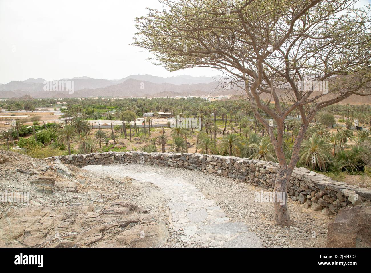 desert path with mountains and valleys dry out of focus with grain ...