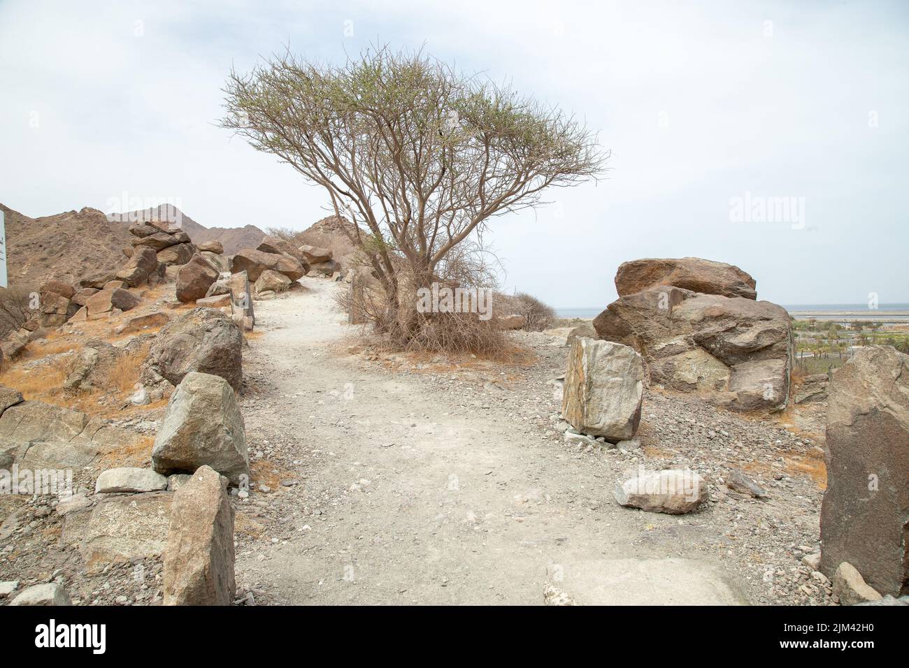 desert path with mountains and valleys dry out of focus with grain ...