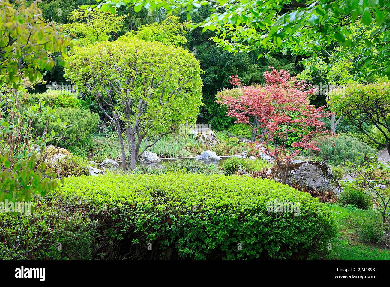 A river surrounded with greenery in a beautiful Japanese garden Stock ...