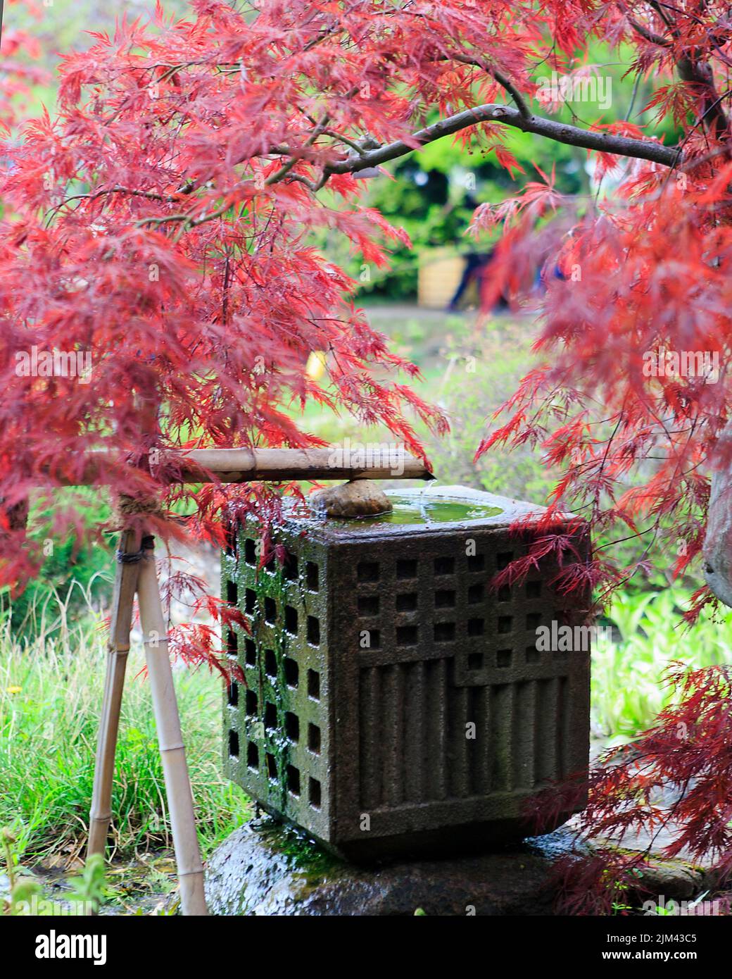 A vertical shot of a Japanese style stone fountain under a Japanese ...