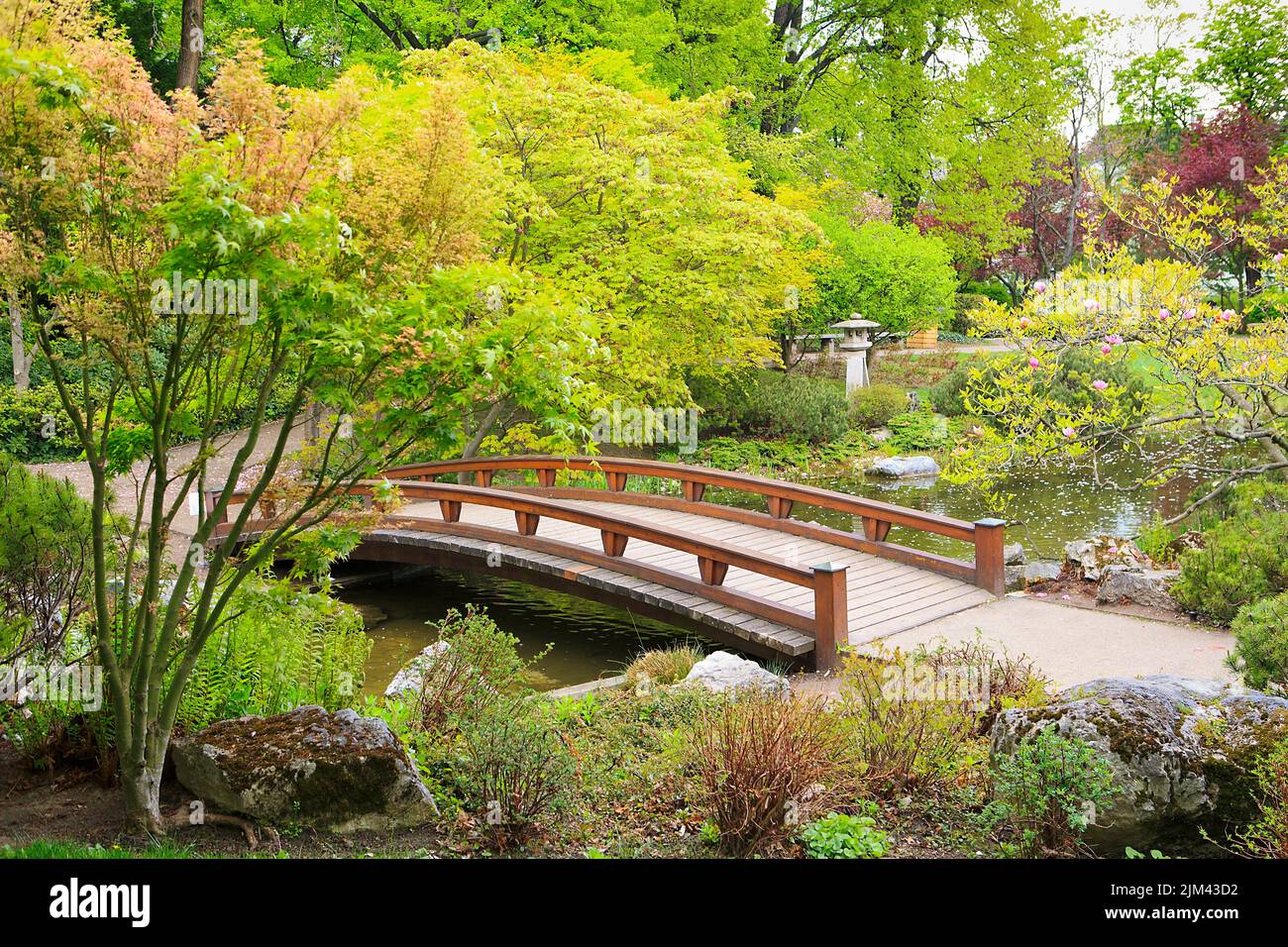 A small bridge above a river surrounded with greenery in a Japanese ...