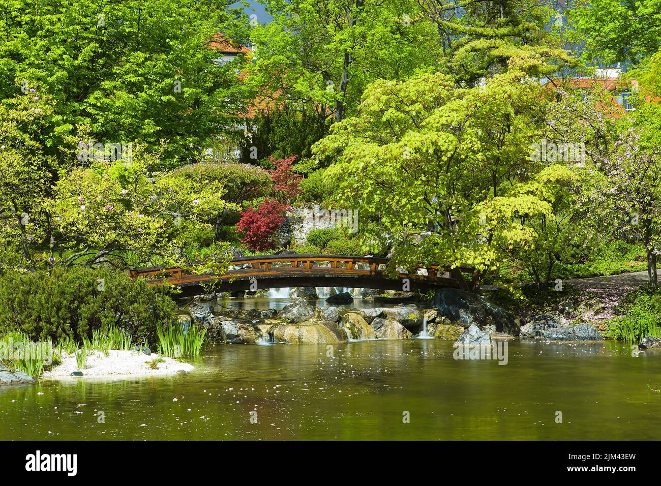 A bridge above a lake surrounded with evergreen trees in a Japanese ...