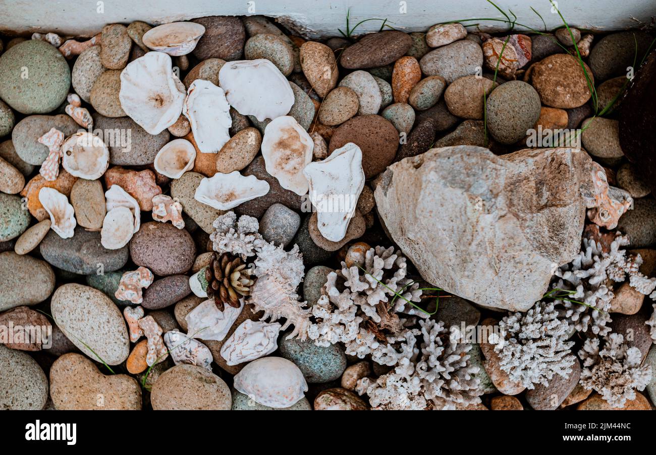 Stack of seashells hi-res stock photography and images - Alamy