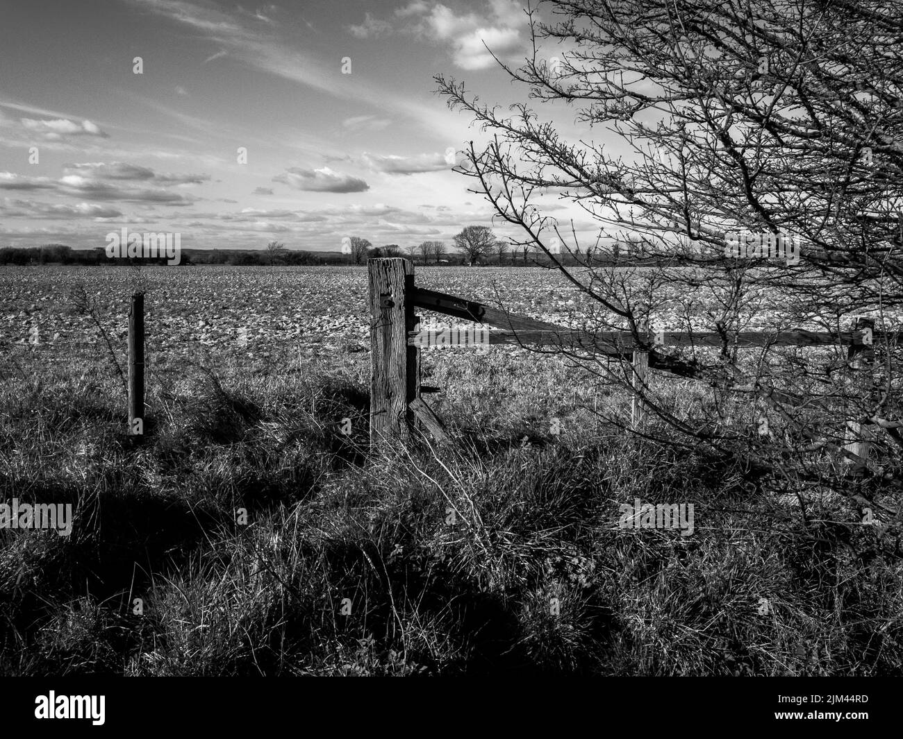 Barrier texture contrast hi-res stock photography and images - Alamy
