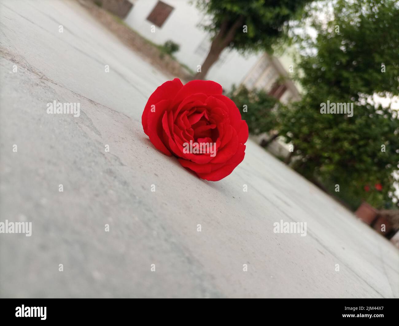 Bottom up angle hi-res stock photography and images - Alamy