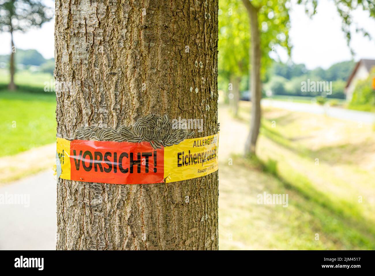 A tree with a german text saying "Do not touch the caterpillars and ...
