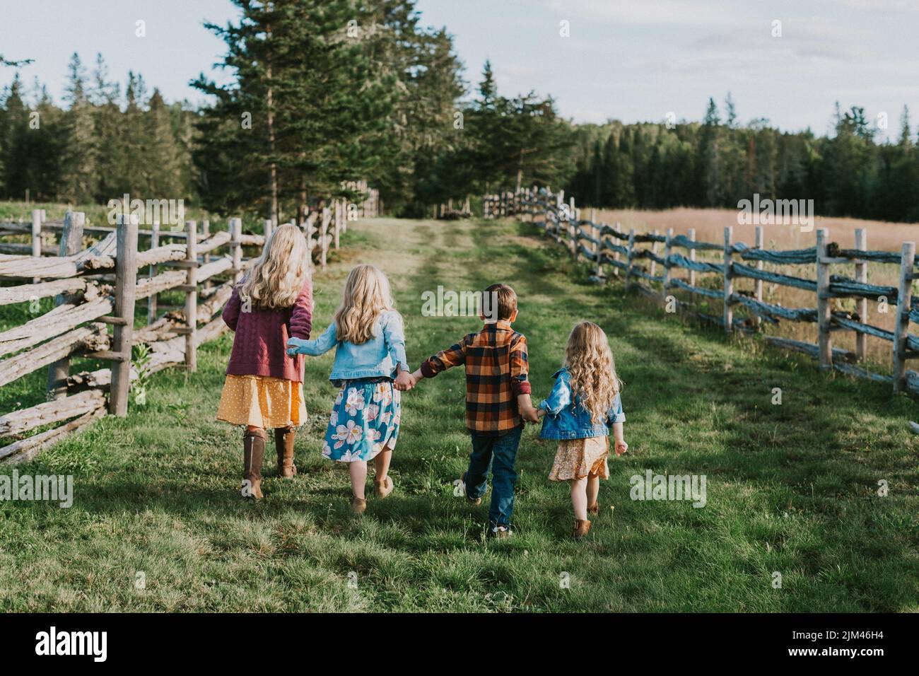 A back view of four siblings in the Doak House area, New Brunswick ...