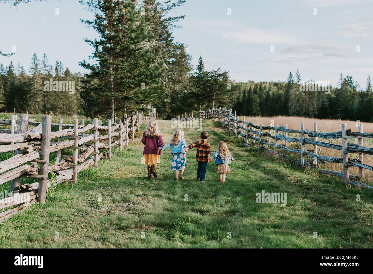 A back view of four siblings in the Doak House area, New Brunswick ...