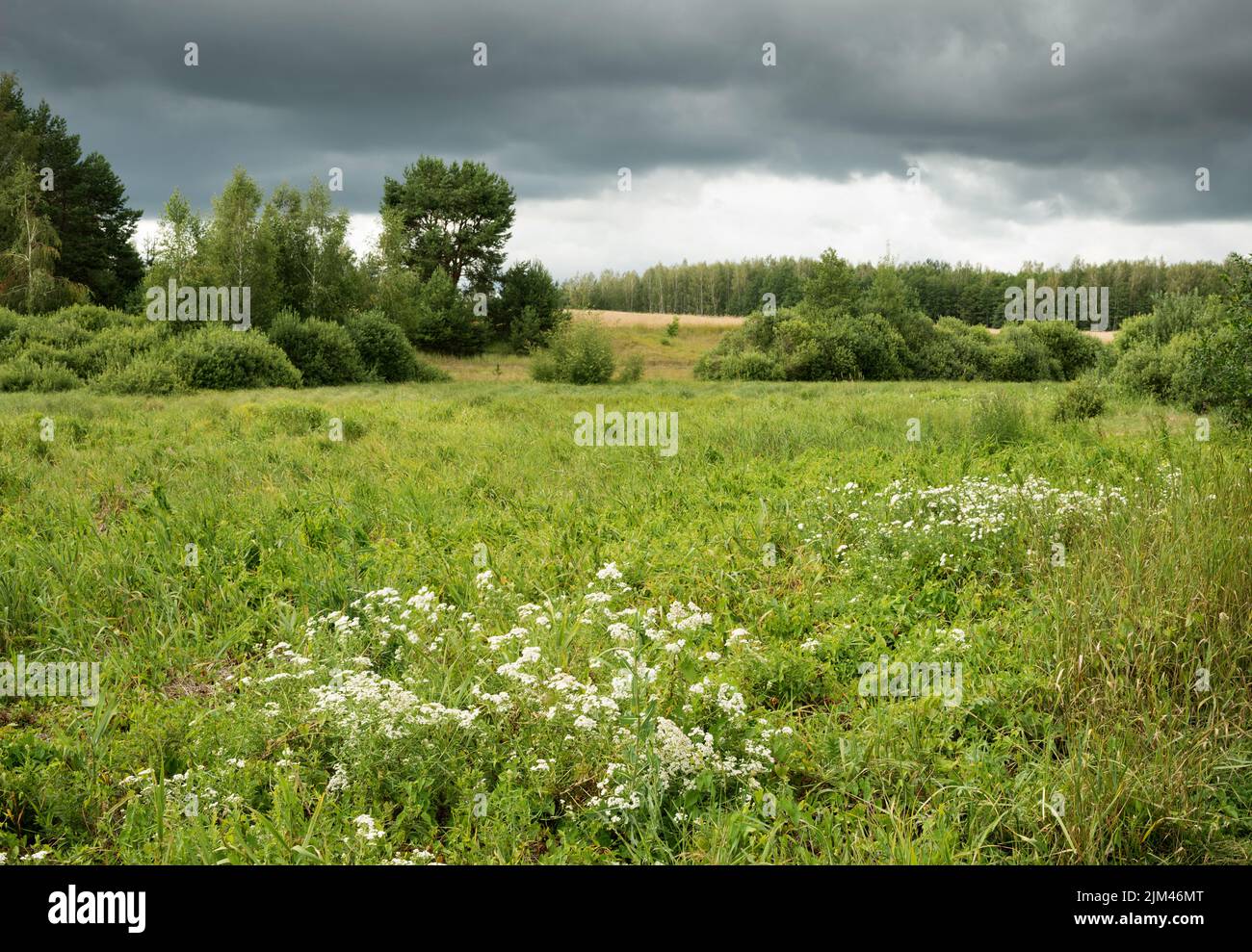 Banks of the berezina river hi-res stock photography and images - Alamy