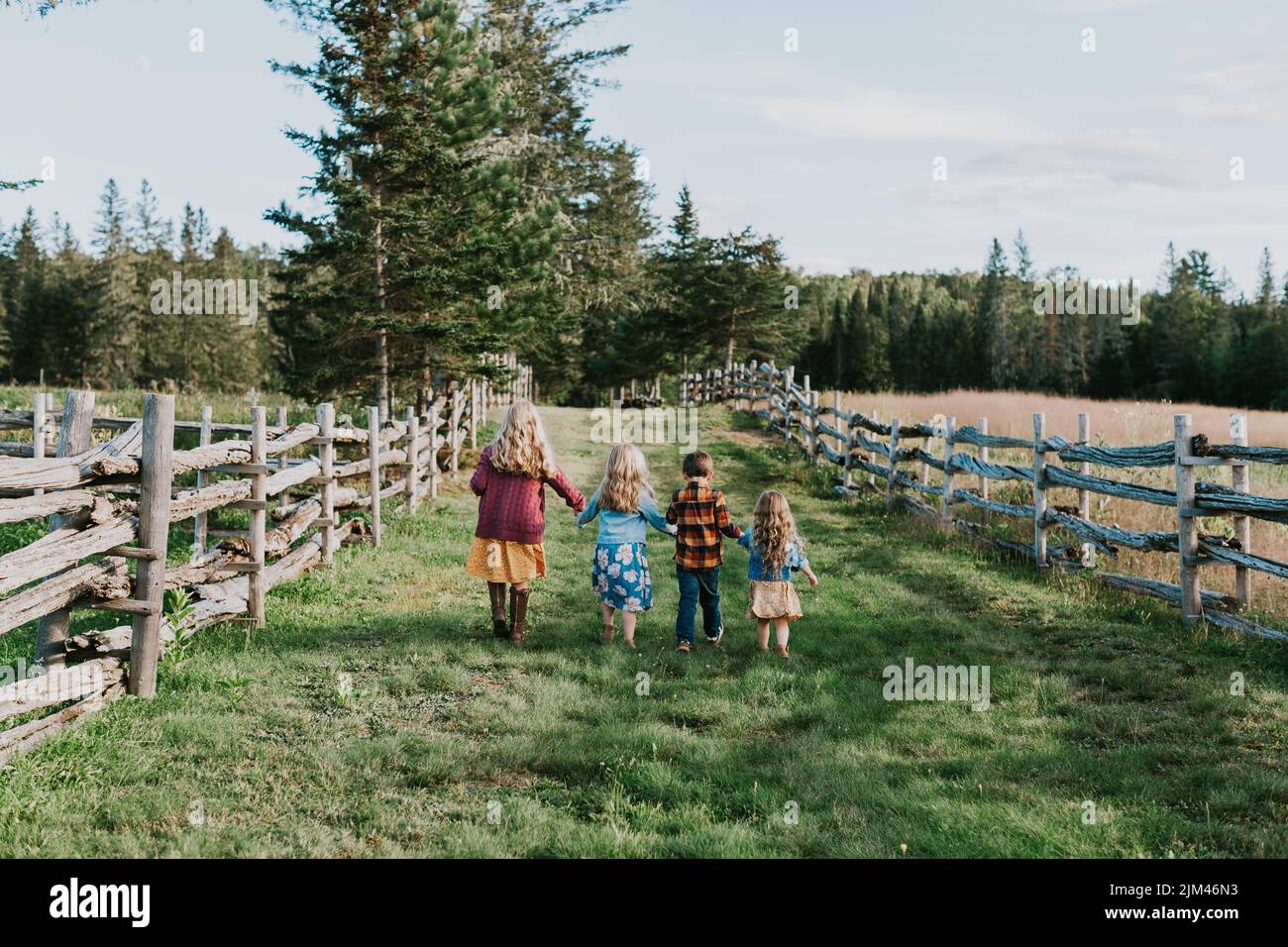 A back view of four siblings in the Doak House area, New Brunswick ...