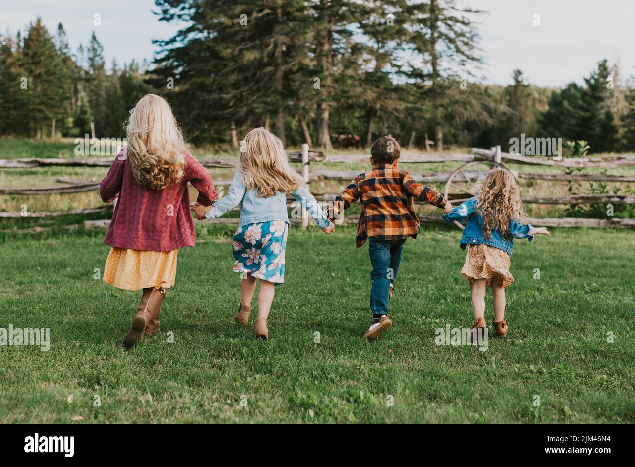 A back view of four siblings in the Doak House area, New Brunswick ...