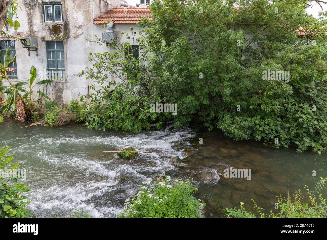River almonda hi-res stock photography and images - Alamy