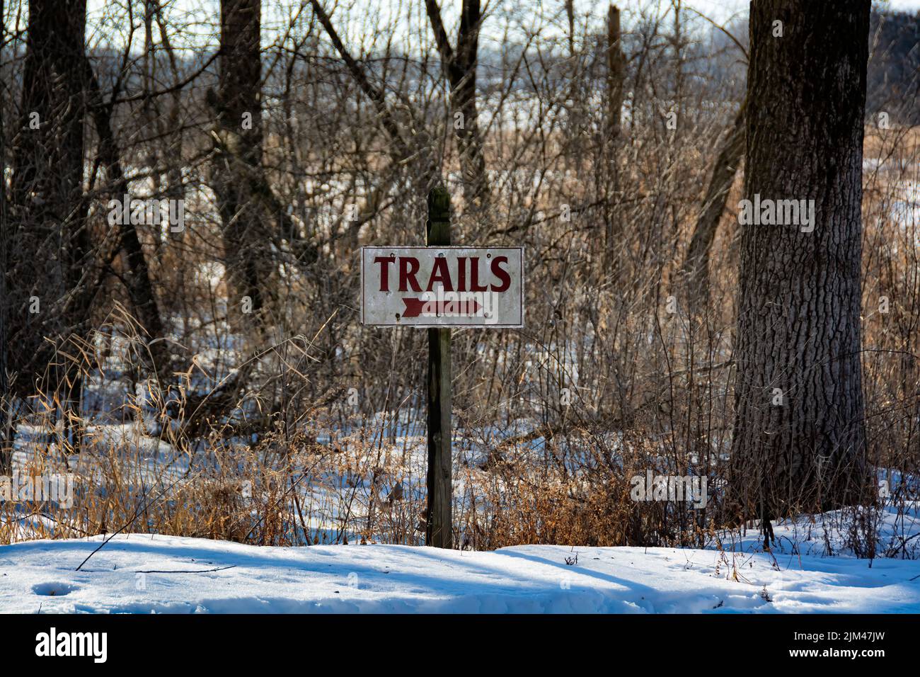 A trails sign with a red arrow in woodlands during winter Stock Photo ...