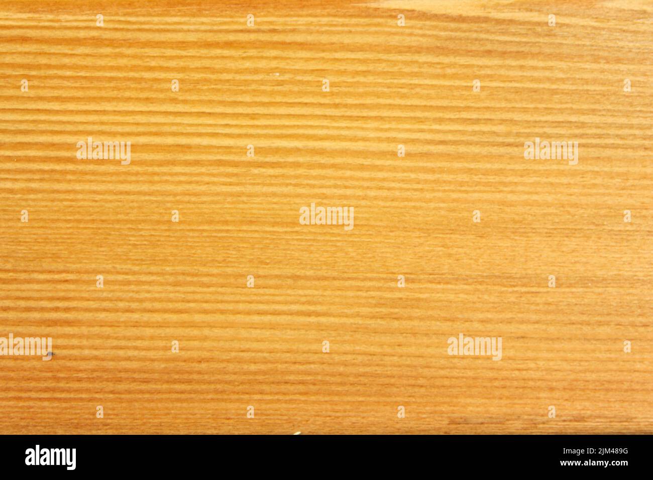 A closeup of the grain of Siberian larch Stock Photo - Alamy