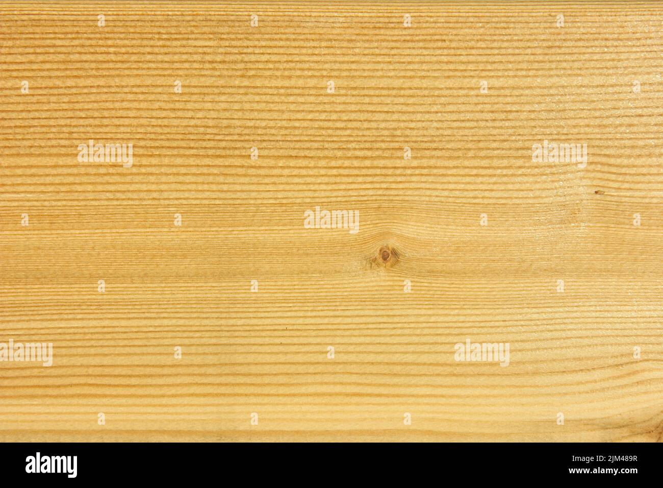 A closeup of the grain of Siberian larch Stock Photo - Alamy