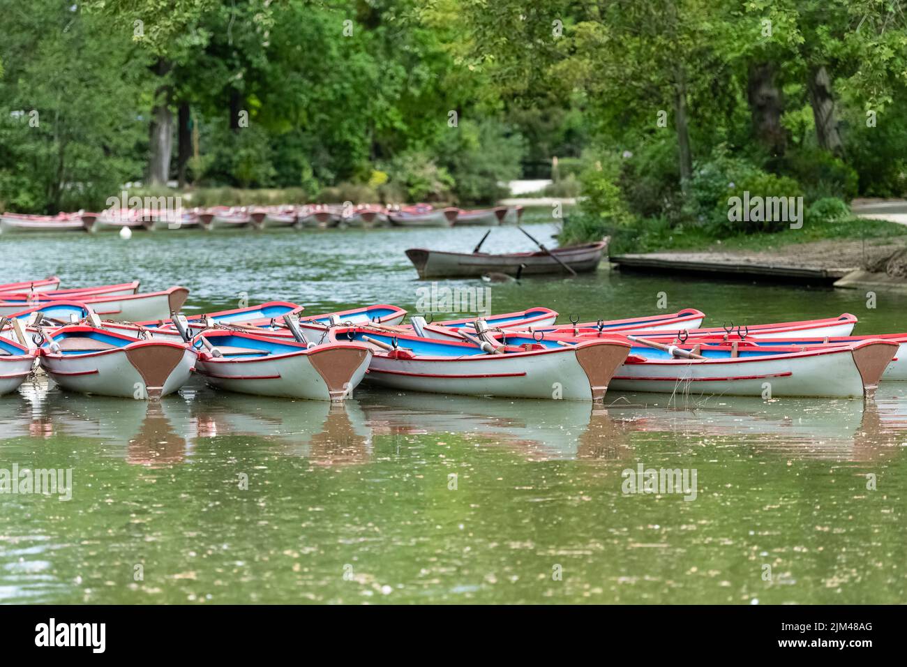 Paris green row of trees hi-res stock photography and images - Alamy