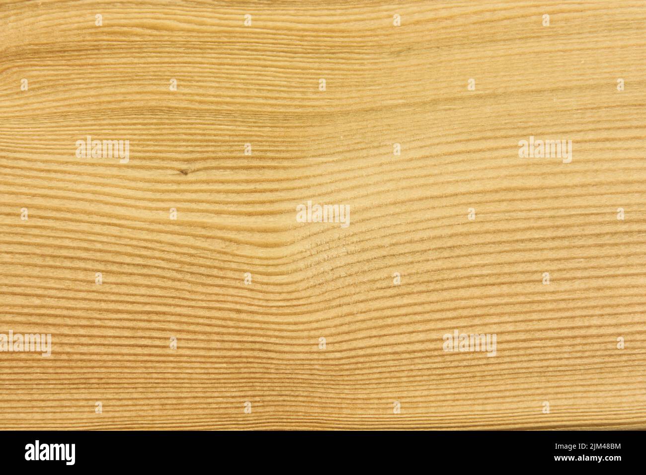 A closeup of the grain of Siberian larch Stock Photo - Alamy