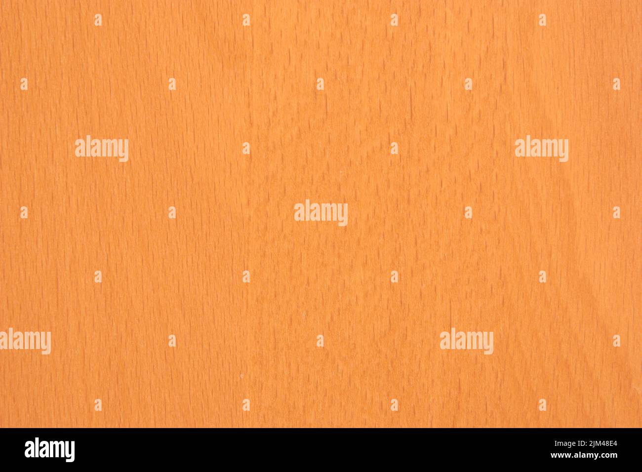 Image of the grain of beech Stock Photo - Alamy