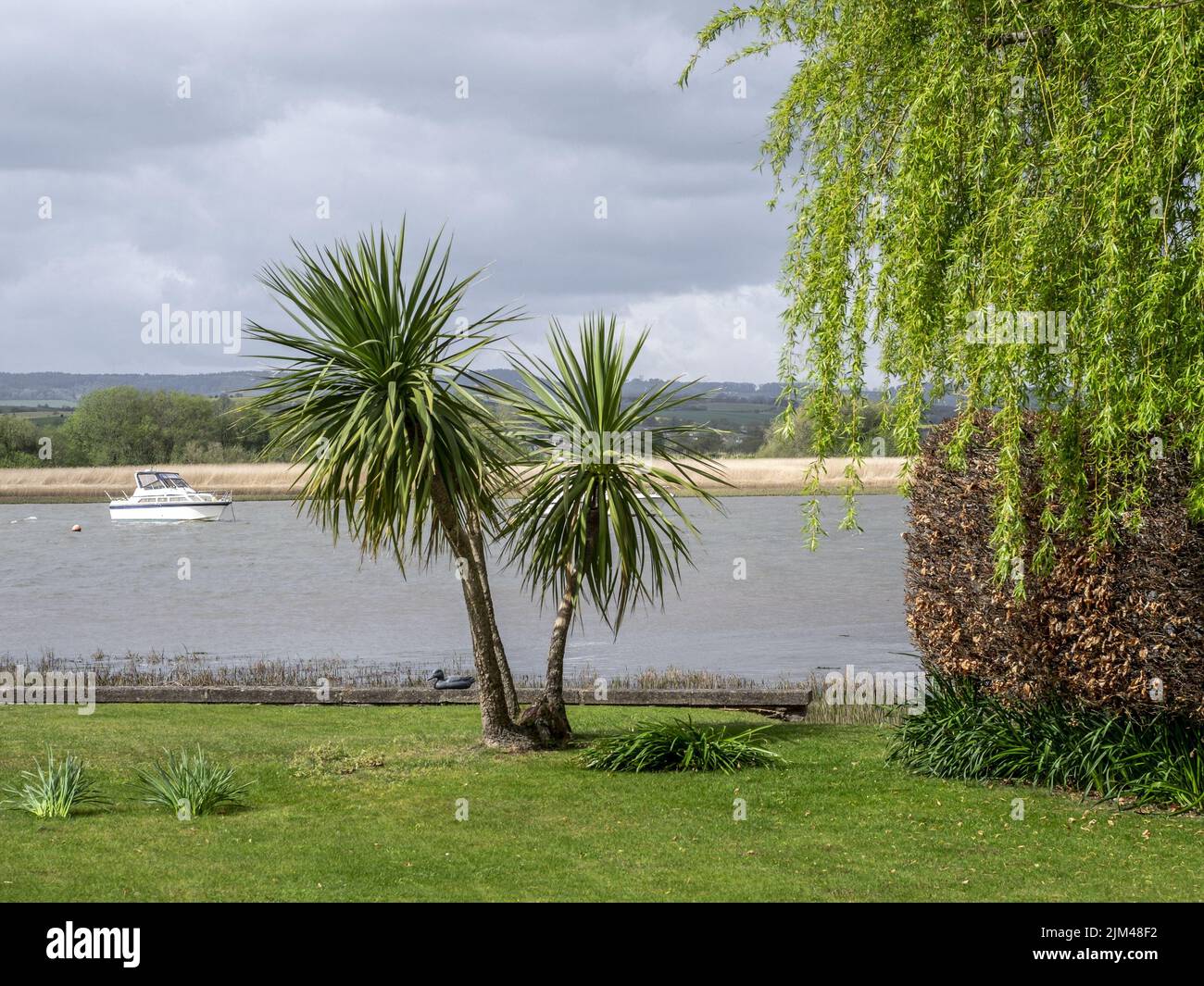 Devon palms hi-res stock photography and images - Alamy