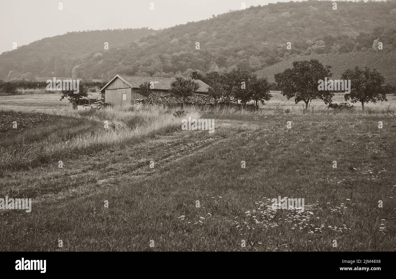 A grayscale of a small house in a field Stock Photo - Alamy