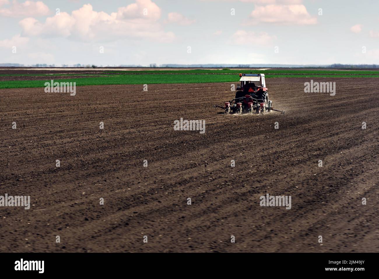 Agricultural tractor with crop seeder in field seeding corn seed Stock ...
