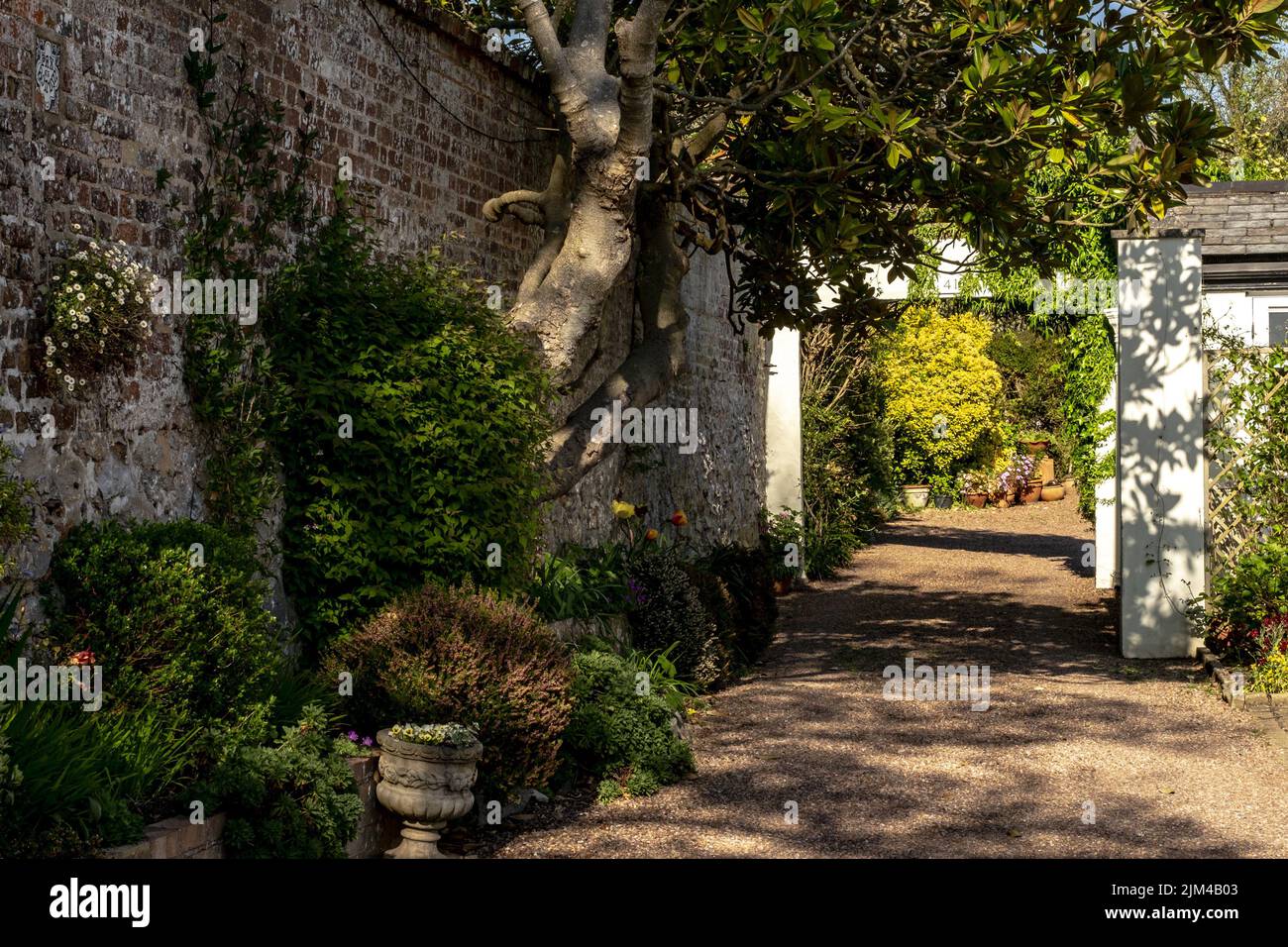 An old walled courtyard garden in Devon, the United Kingdom Stock Photo ...