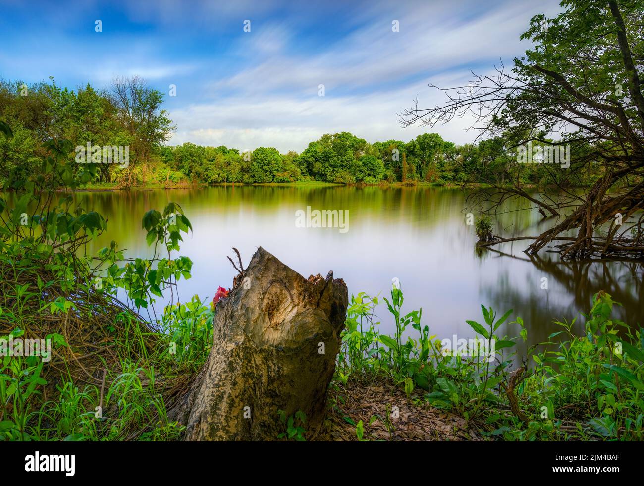 A beautiful scene of the Loop Island Wetlands in New Albany Indiana ...