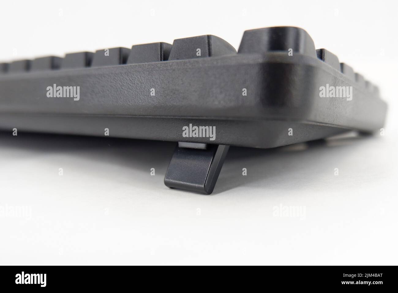 the paws of the PC keyboard are visible on an isolated white background ...