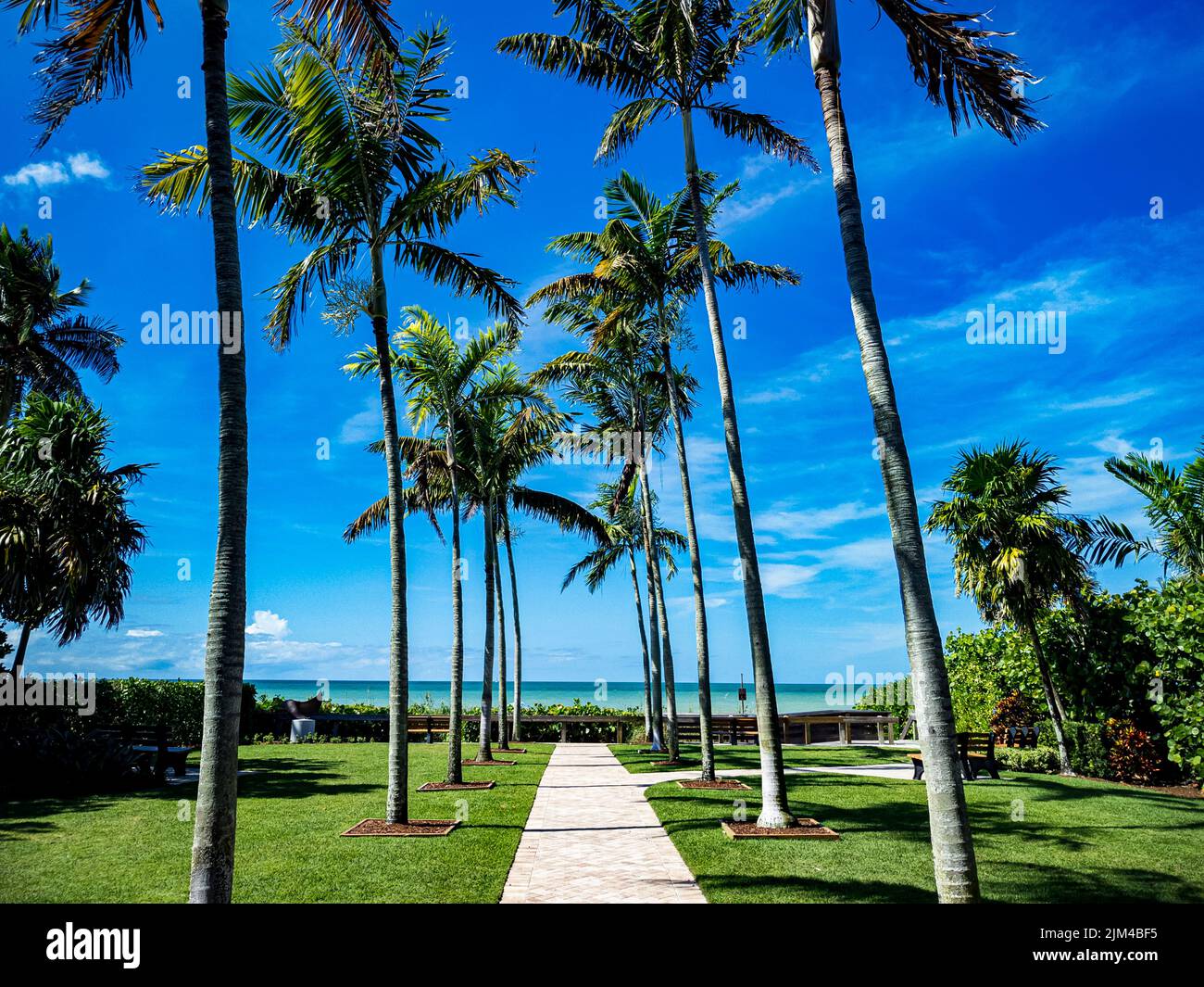 A walking trail on Naples Beach with palm trees in Sarasota, Florida ...
