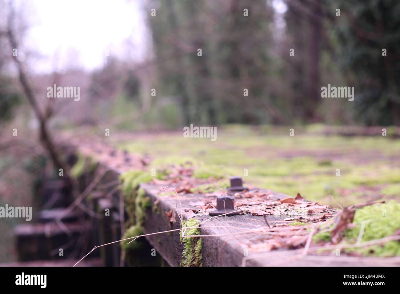 Connection hex hi-res stock photography and images - Alamy