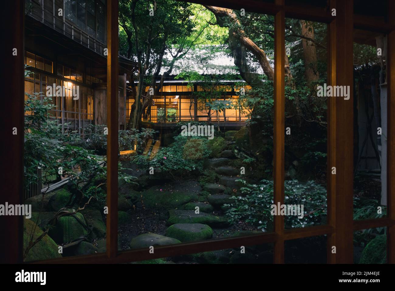 Frow hi-res stock photography and images - Alamy