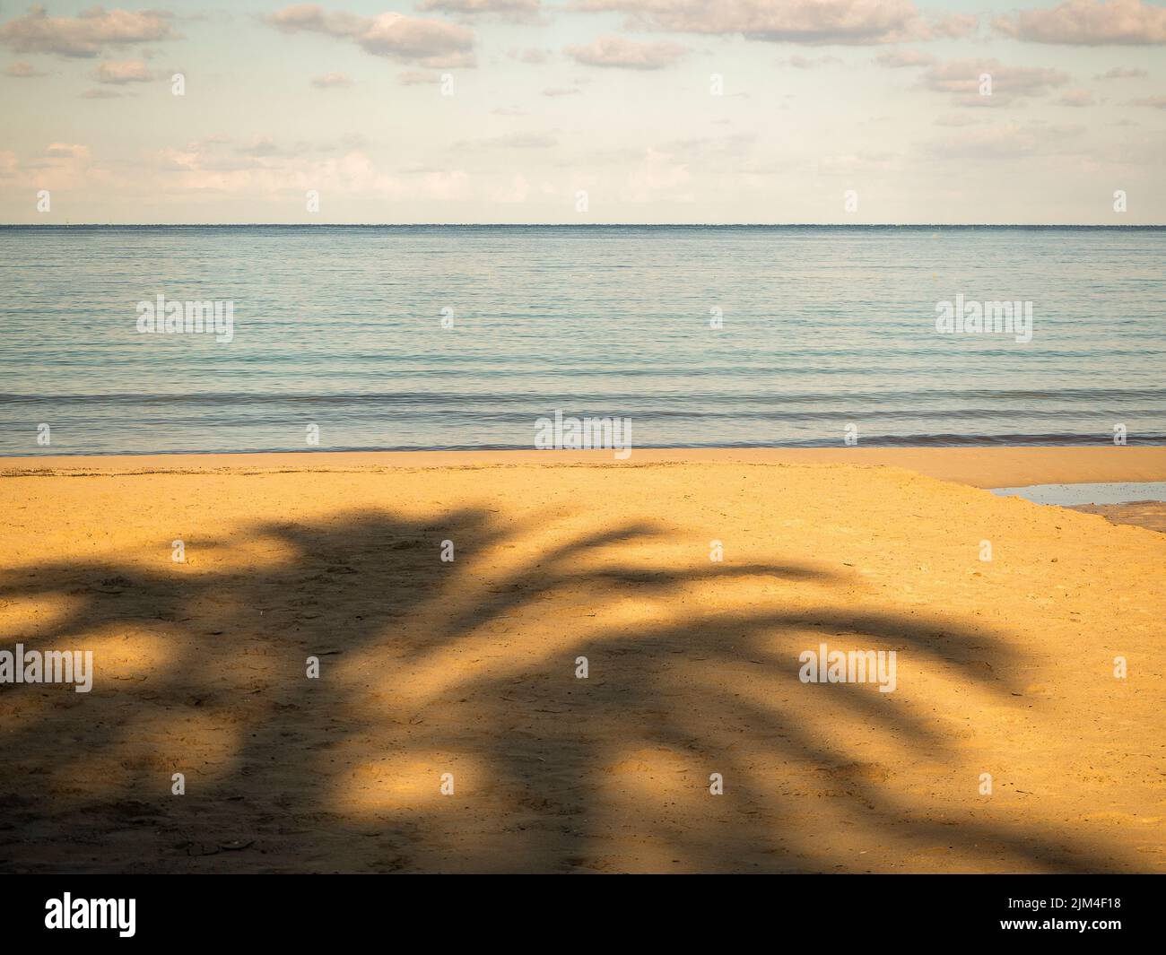 A wallpaper of a tropical beach and a palm shadow in the sand Stock ...