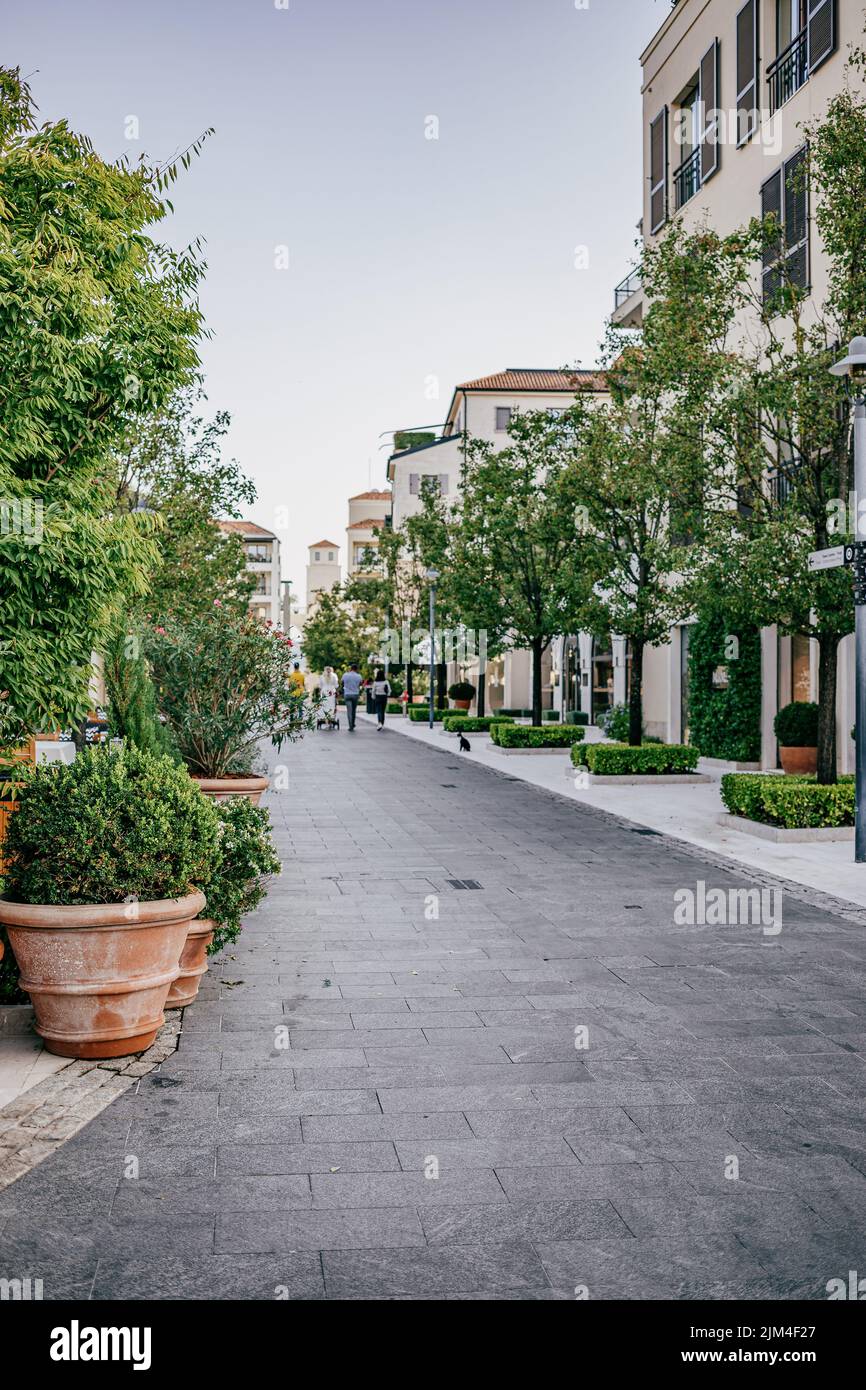 A vertical shot of a paved street between buildings and green trees in ...