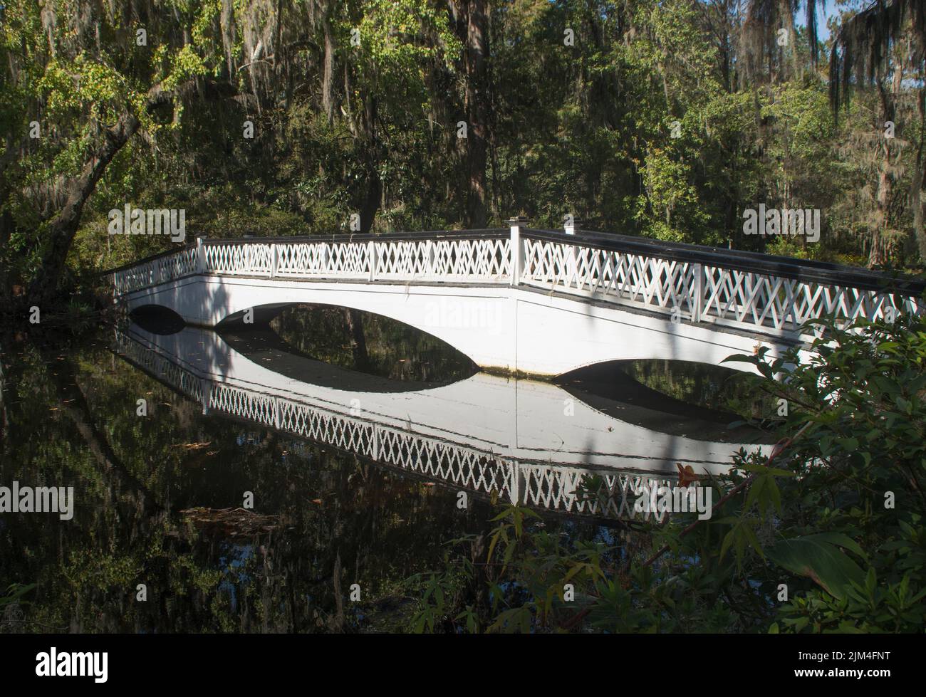 A beautiful white bridge spanning a waterway in Charleston, South ...