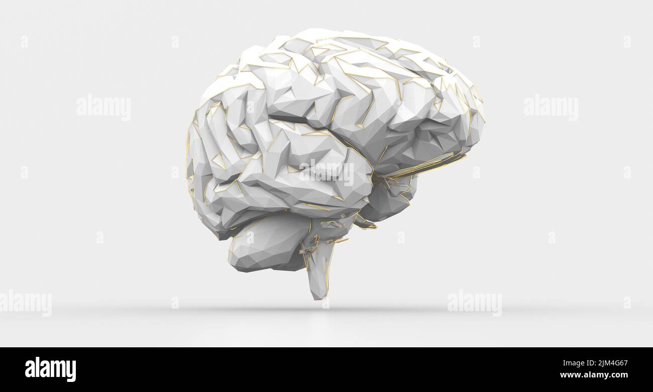 An illustration of a gray brain on a white background Stock Photo - Alamy