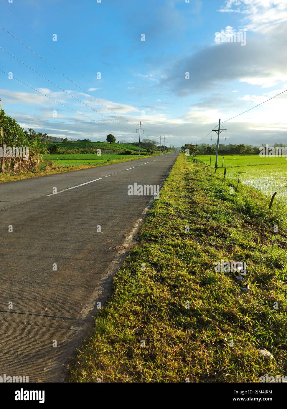 Roadside greenery hi-res stock photography and images - Alamy
