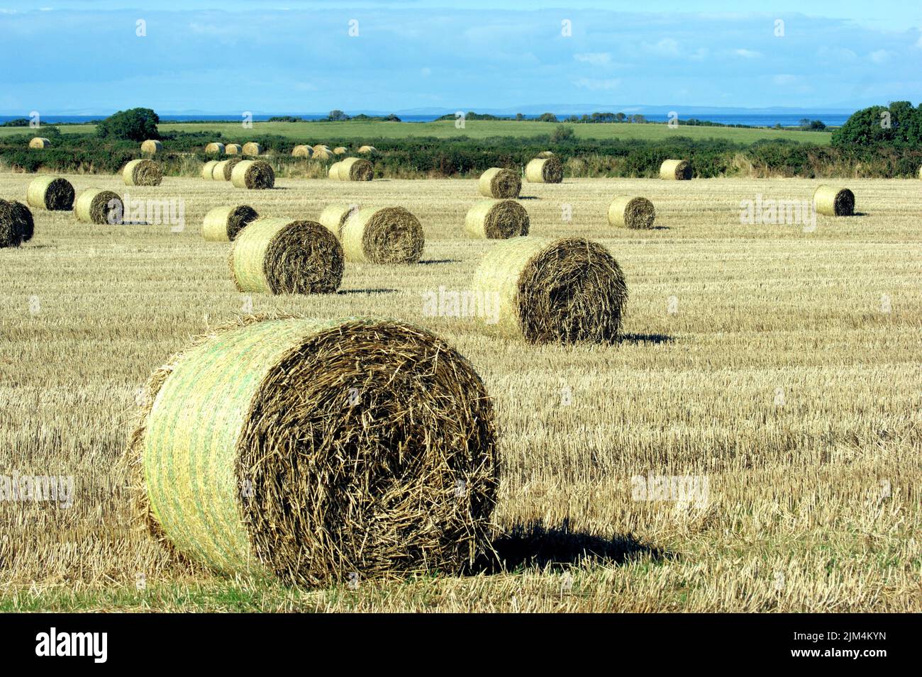 Big bales hi-res stock photography and images - Alamy