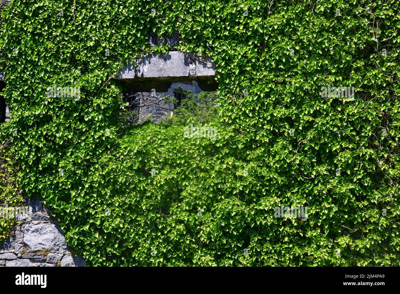 Built as a sizeable fort in Victorian times Fort Tourgis was used a ...